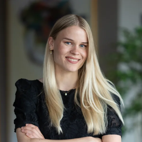 Legal assistance – Mergers and Acquisitions